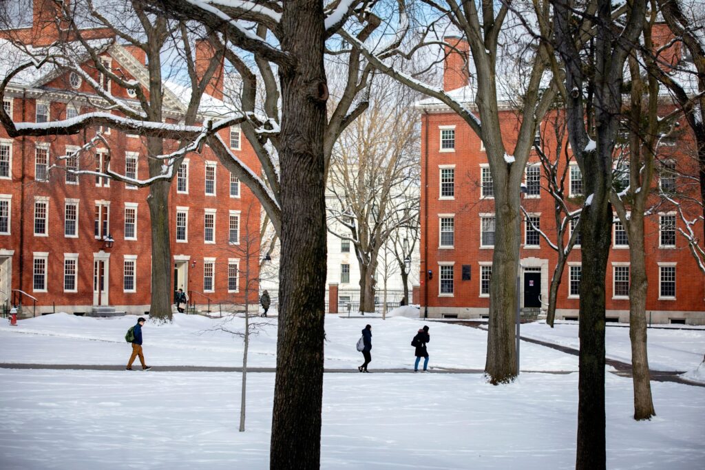 Harvard professor calls out ‘exclusion of white males’ in scathing ...
