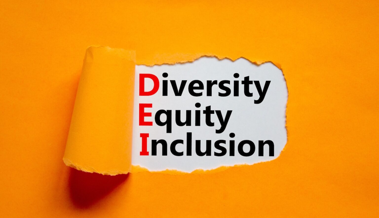 Watch: Undercover videos show officials bypassing DEI bans in Florida ...